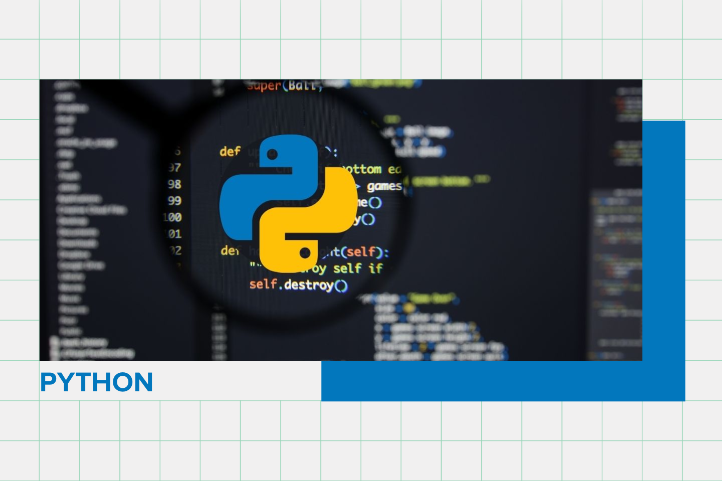 Python დეველოპერი: პროფესია, უნარები, კარიერული გზა